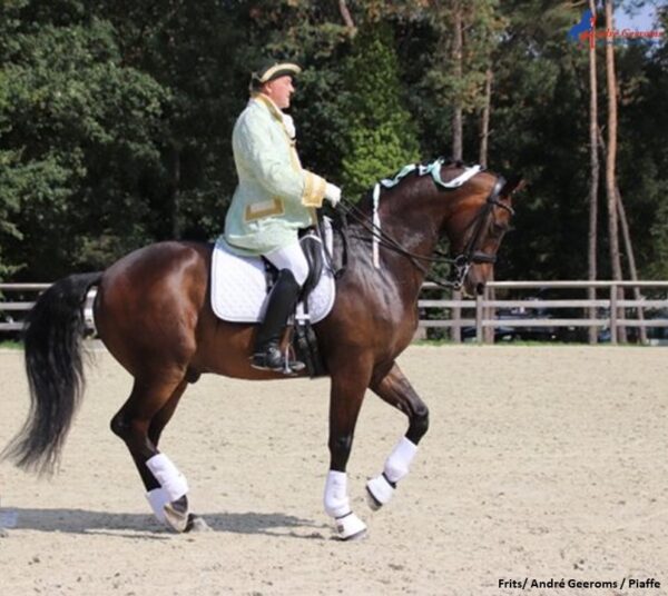9 Aandachtpunten bij de piaffe - Als fluisteren niet helpt