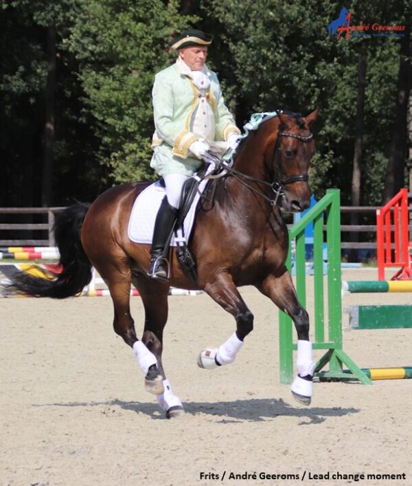 42 Van prikkel naar reactie in slechts 1/10 seconde - Als fluisteren ...