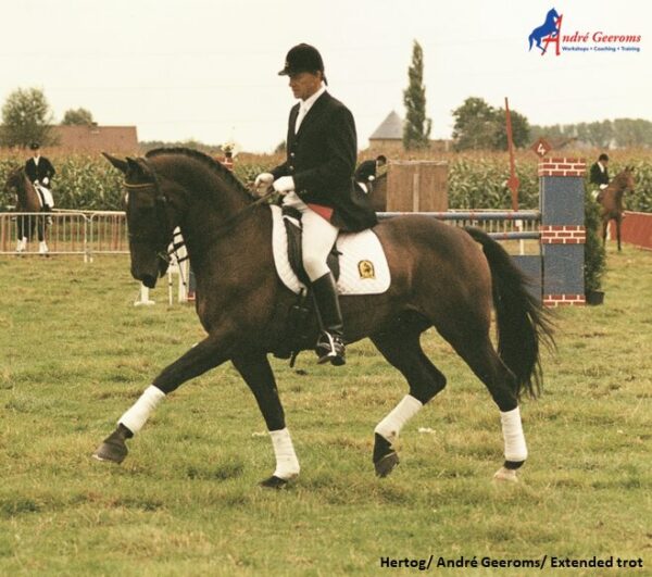 80 Ik moet uitgestrekte draf rijden! - Als fluisteren niet helpt